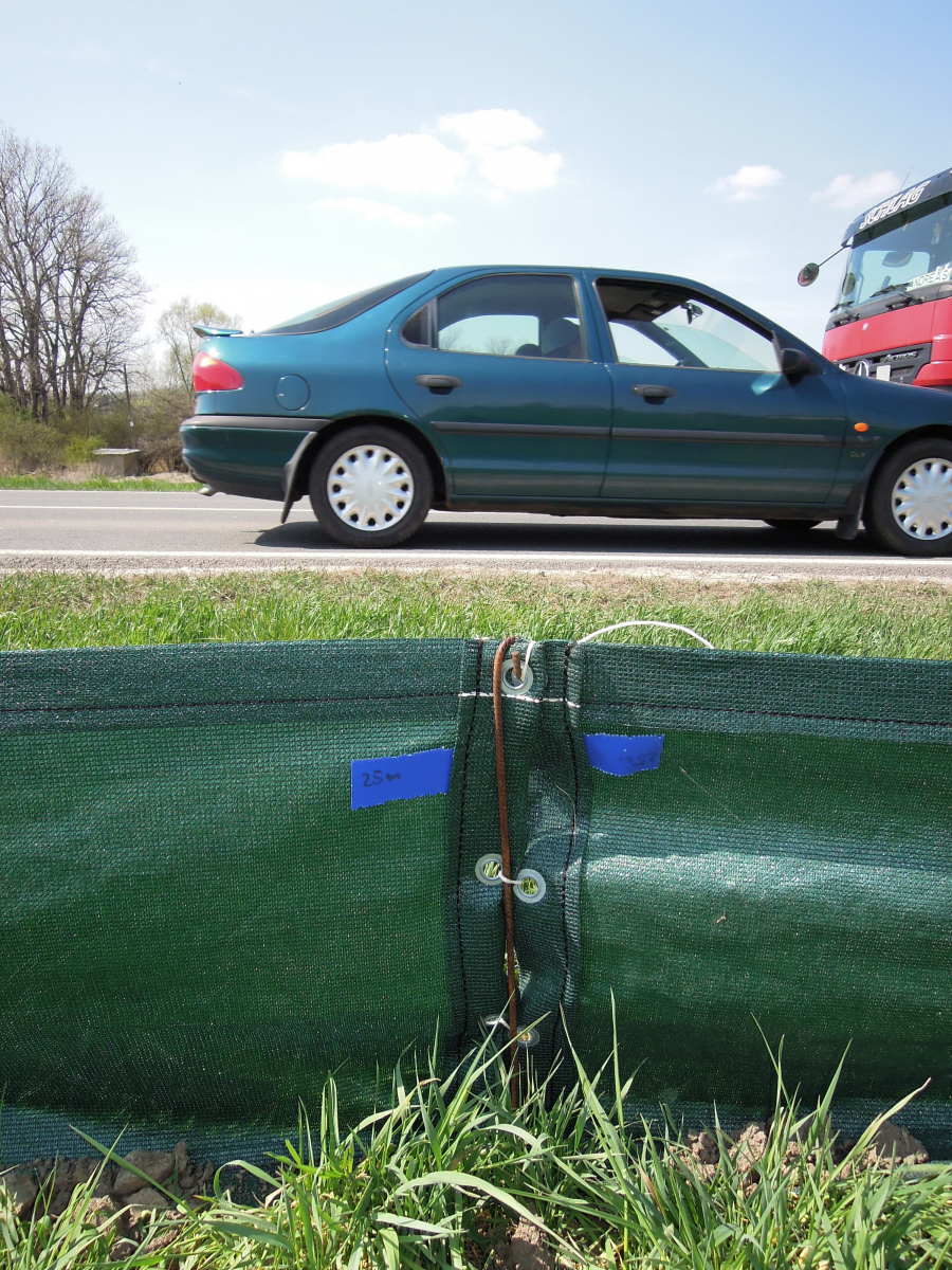 Toad protection fence amphibian trap net spawning train